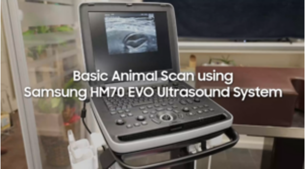 Basic Animal Scan Using HM70 EVO for Veterinary Ultrasound